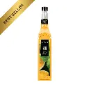 Calamansi Spearmint Concentrated Flavoured Syrup (DÉNN Brand)